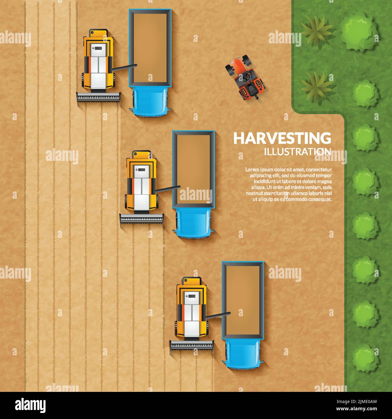 Harvesting concept with top view grain field with argicultural ...