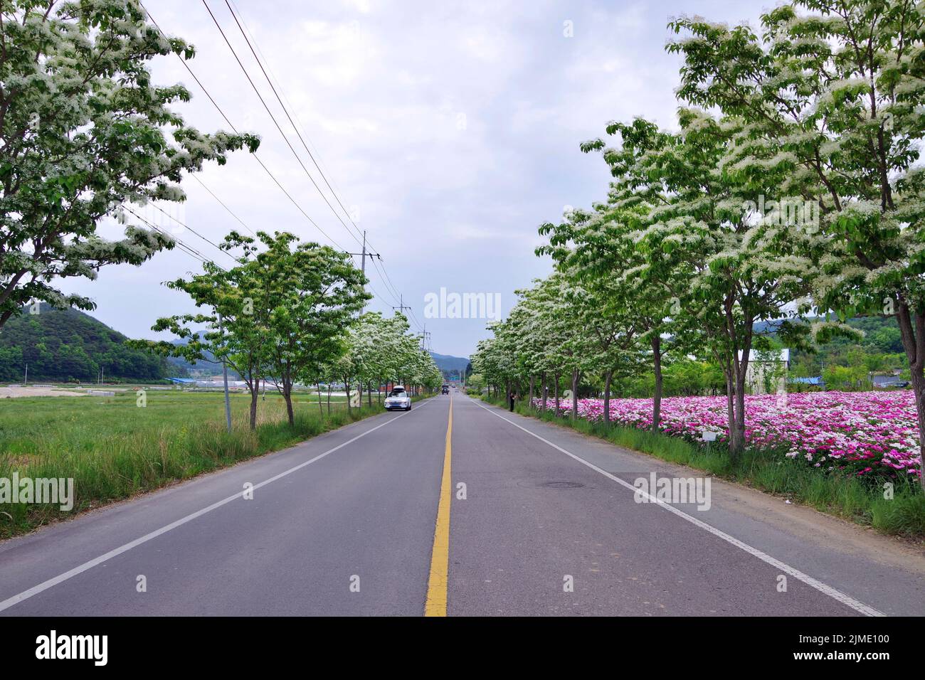 The arterial road hi-res stock photography and images - Alamy
