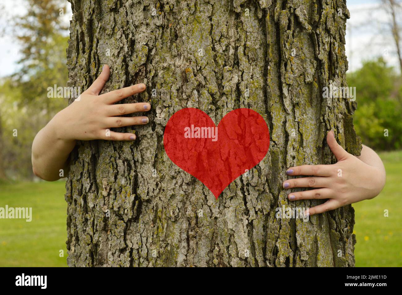 Tree Hugging Environmentalist Stock Photo - Alamy