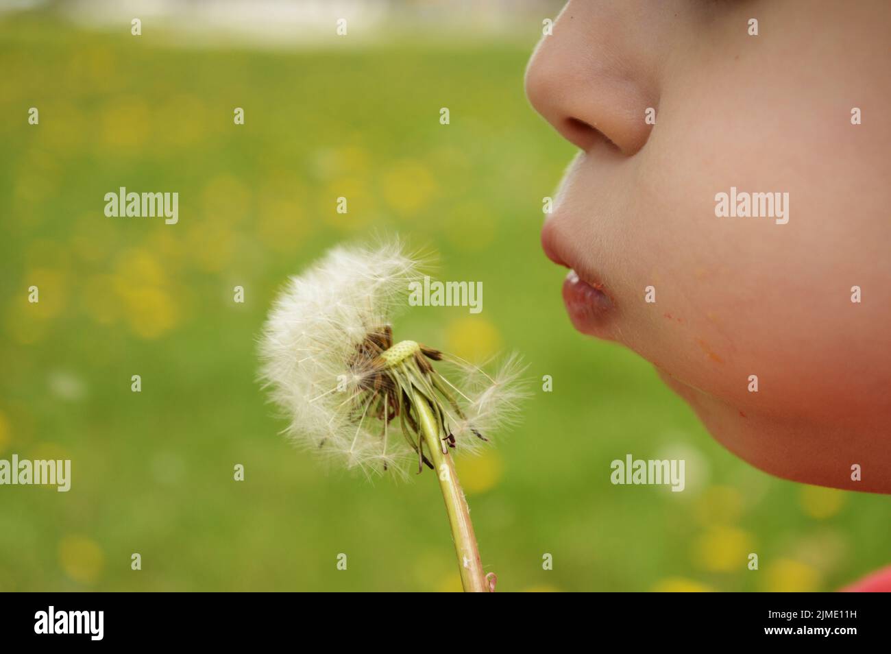 Making a Wish Stock Photo - Alamy