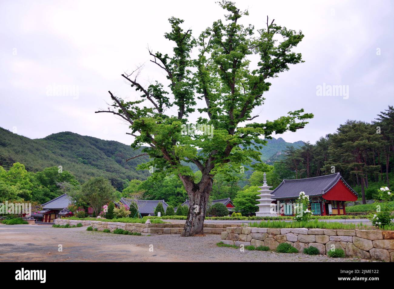 Relaxing scenery to change your mind Stock Photo - Alamy