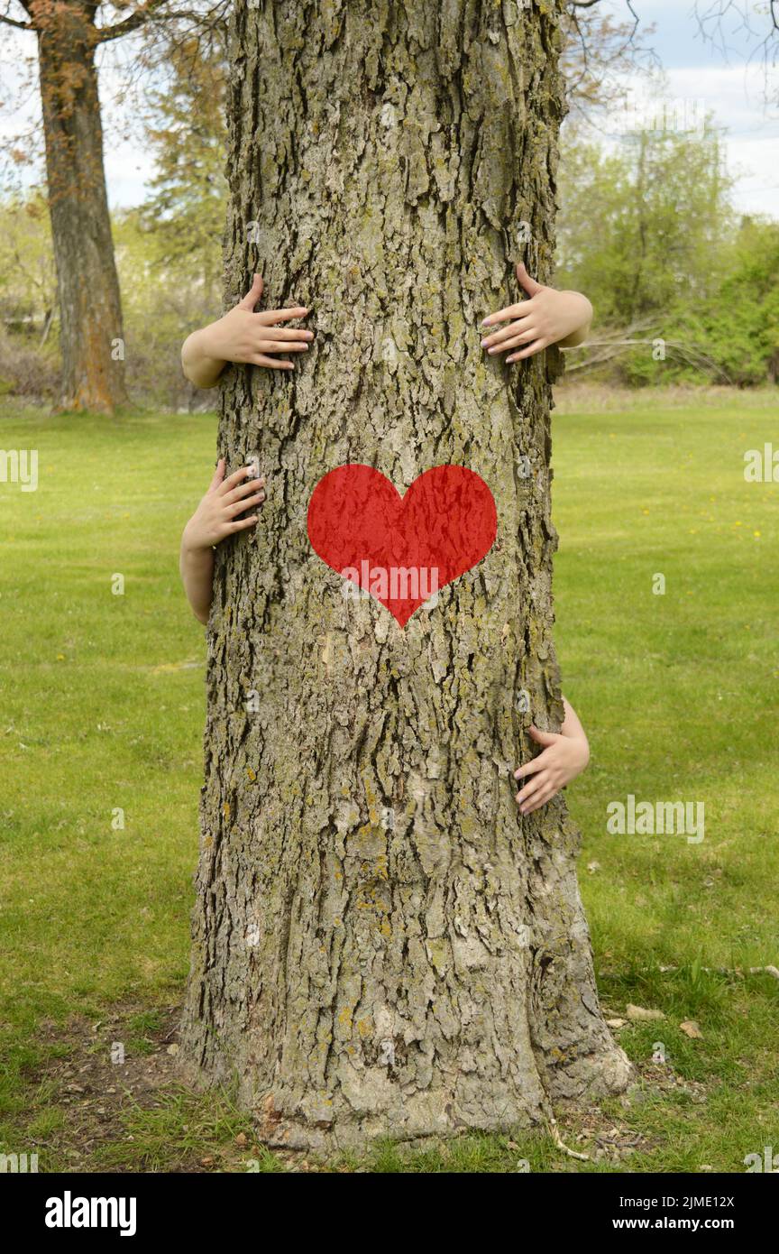 Tree hug heart hi-res stock photography and images - Alamy