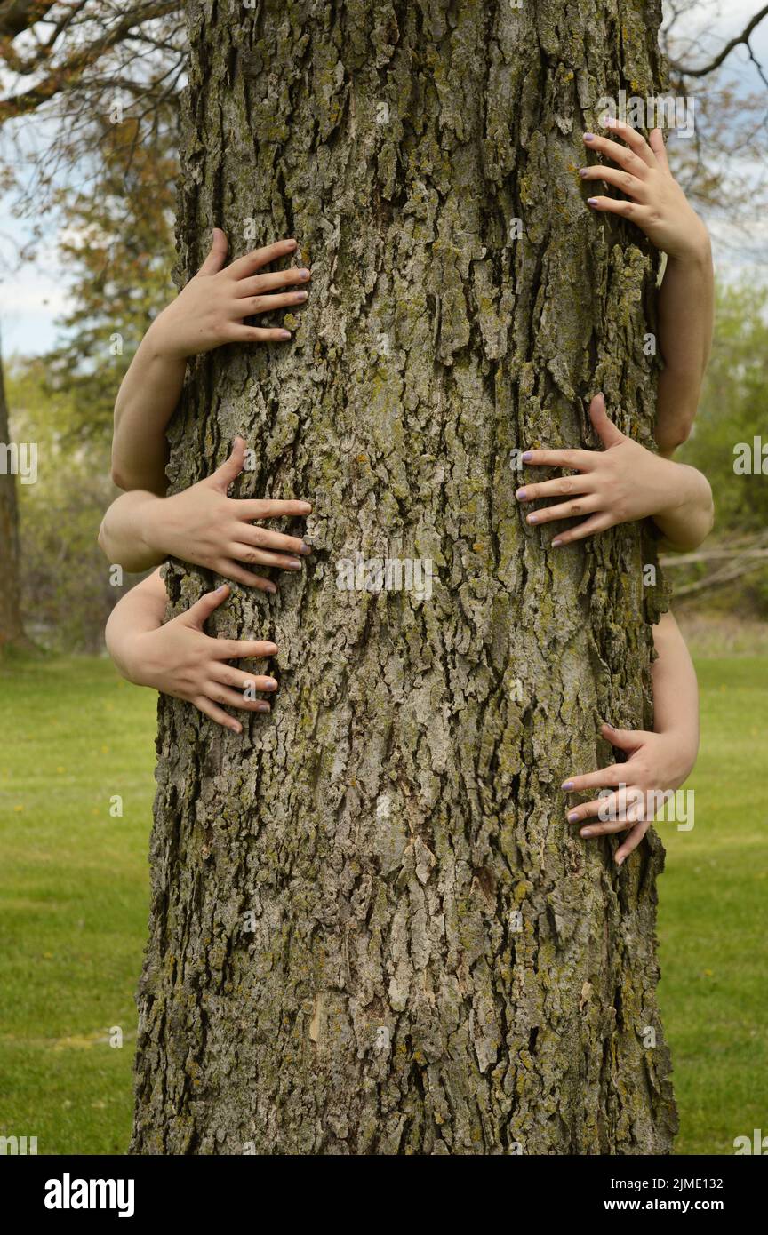 Environmentalist hugging tree hi-res stock photography and images - Alamy
