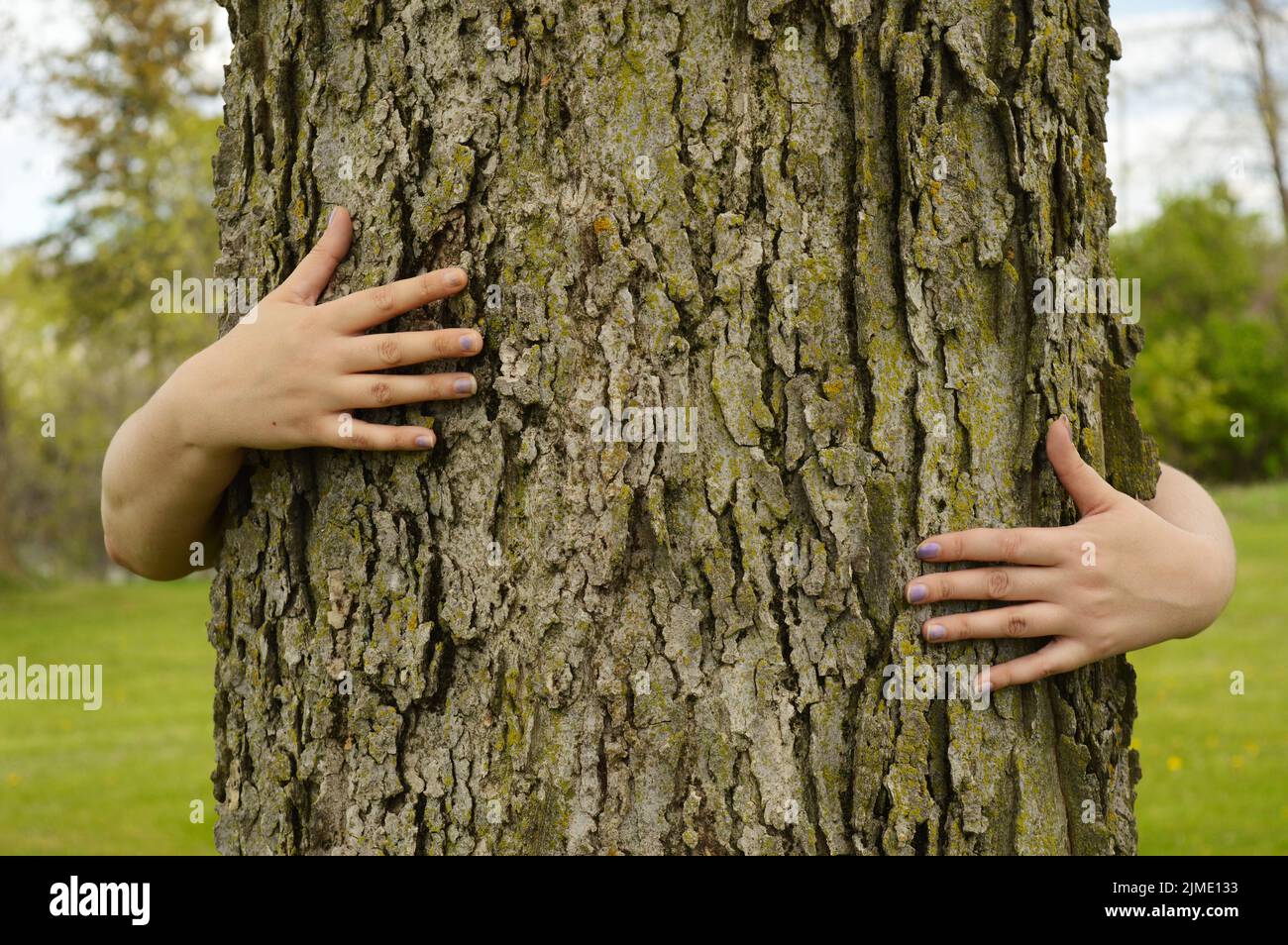 Tree Hugging Environmentalist Stock Photo - Alamy