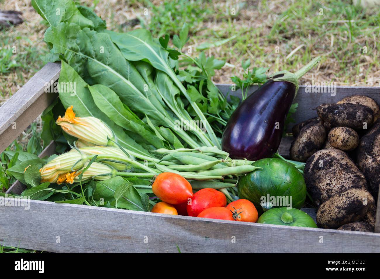 Tubers and roots hi-res stock photography and images - Alamy