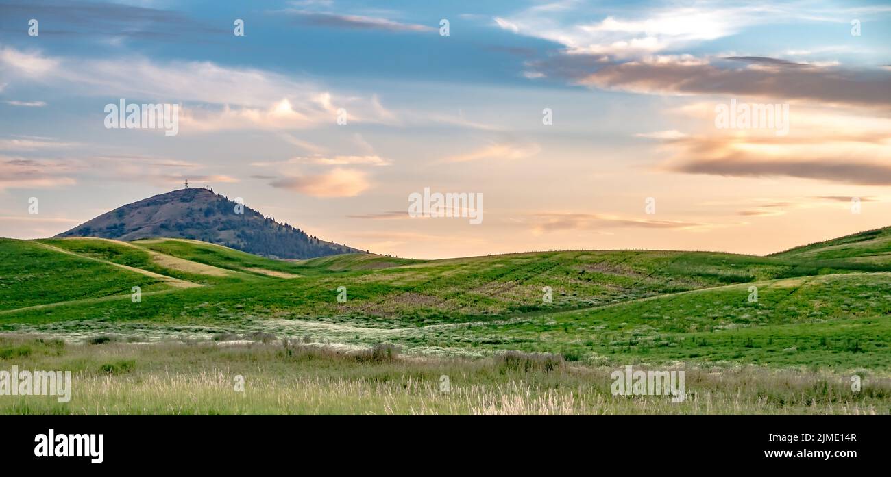 Rolling hills and Farm Land at palouse washington Stock Photo - Alamy