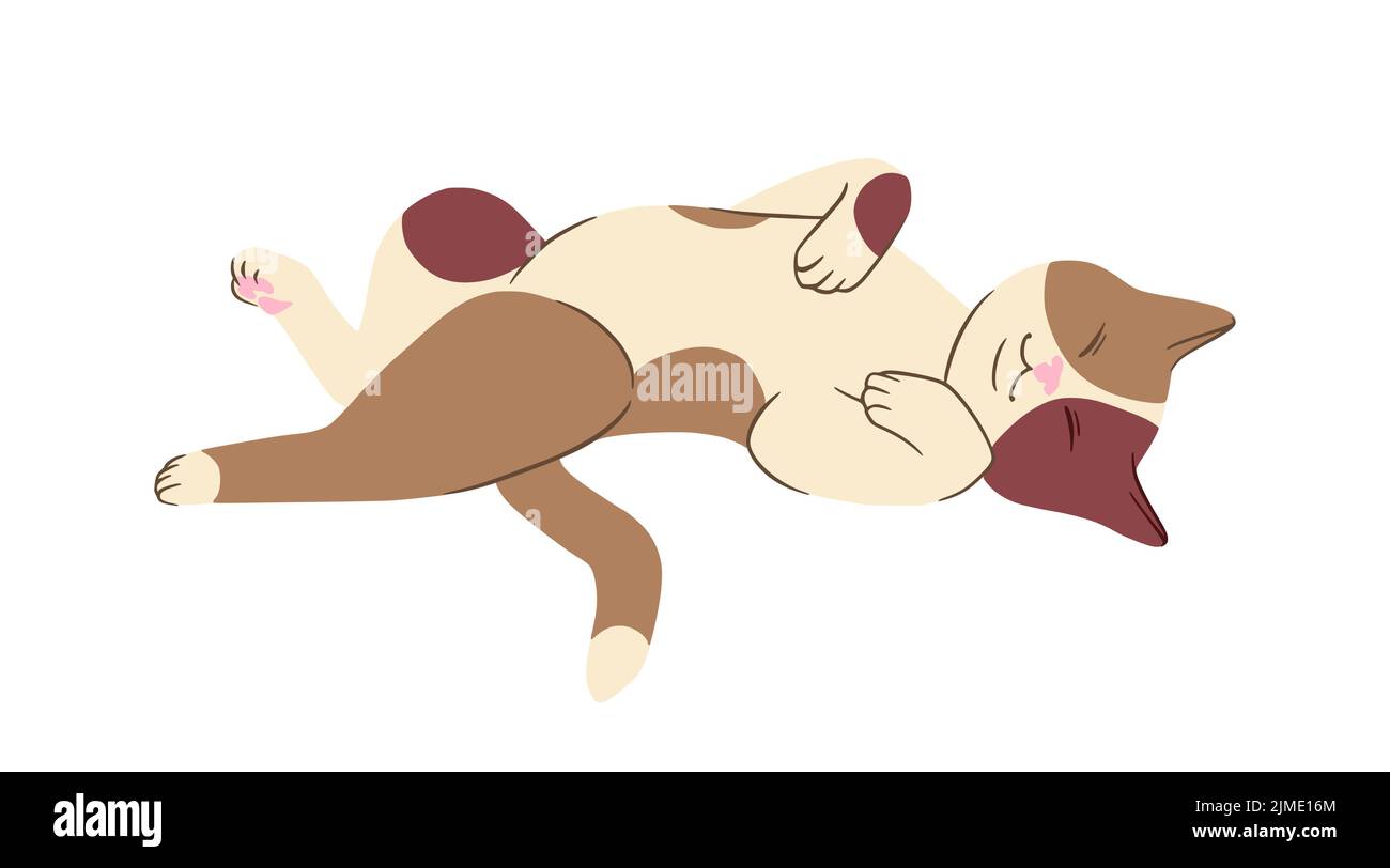 Lying calico cat in doodle style. Colored playful cat. Cute vector ...