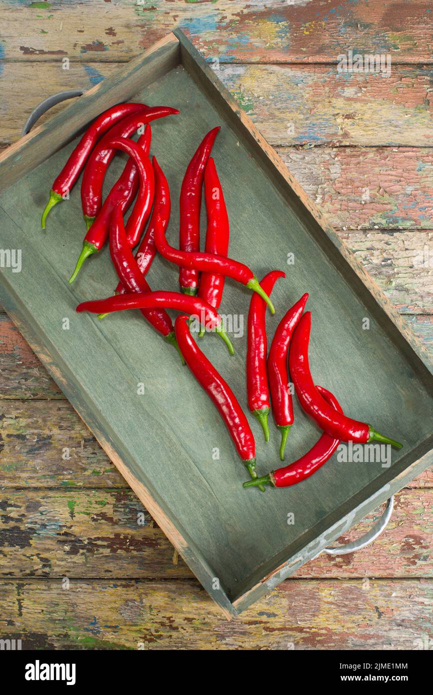 Spicy Red Chili Pepper Stock Photo - Alamy