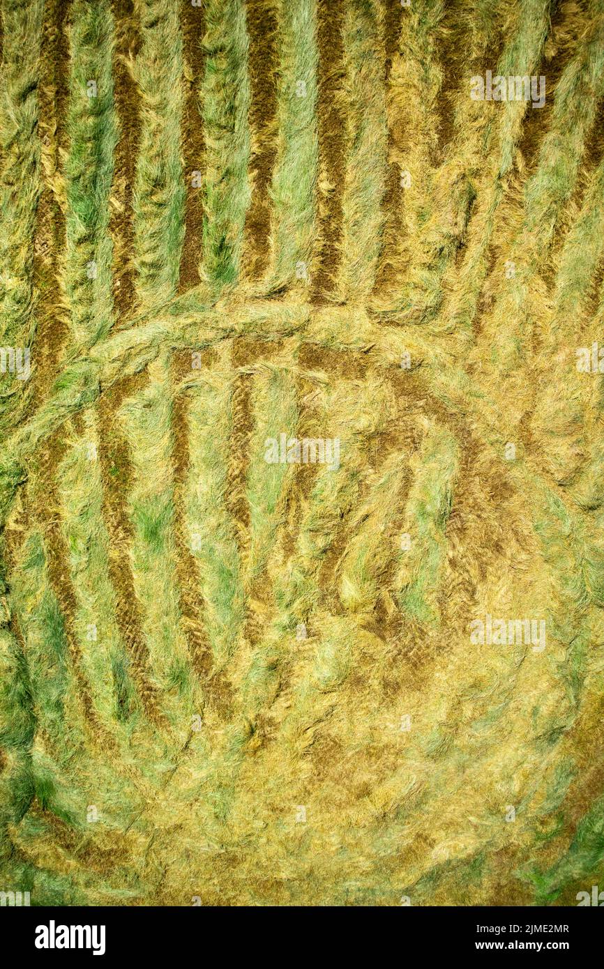 Dry the hay in the open field Stock Photo - Alamy