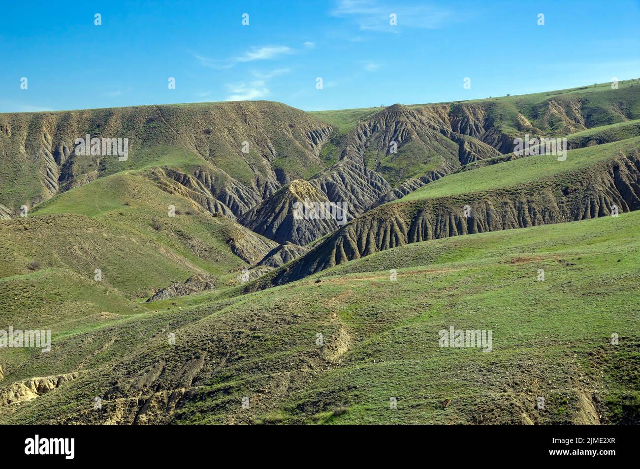 A semi-desert covered with fresh green grass in spring. Clay ravines ...