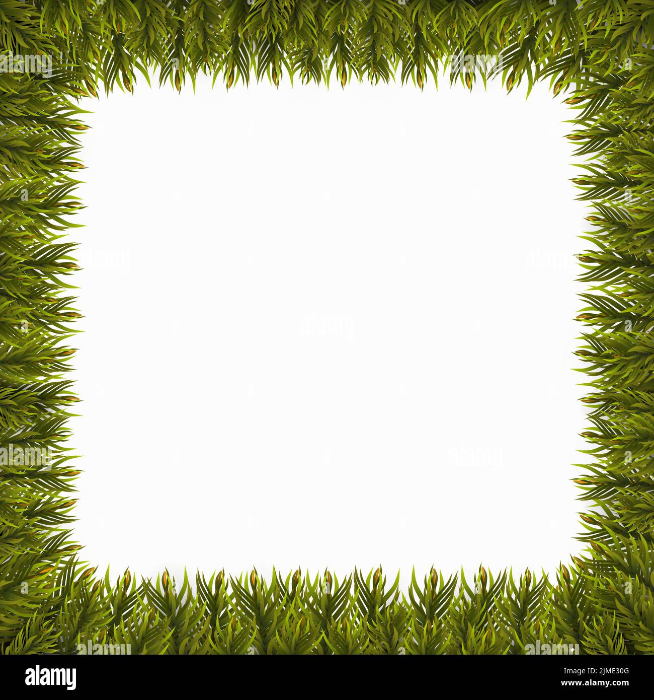 Christmas tree branches border Stock Vector Image & Art - Alamy