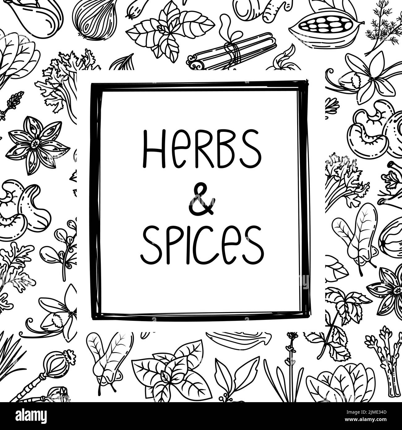 Herbs and spices, hand-drawn vector illustrations. Hand-drawn sketch of ... Herbs and spices, hand-drawn vector illustrations. Hand-drawn sketch of ...