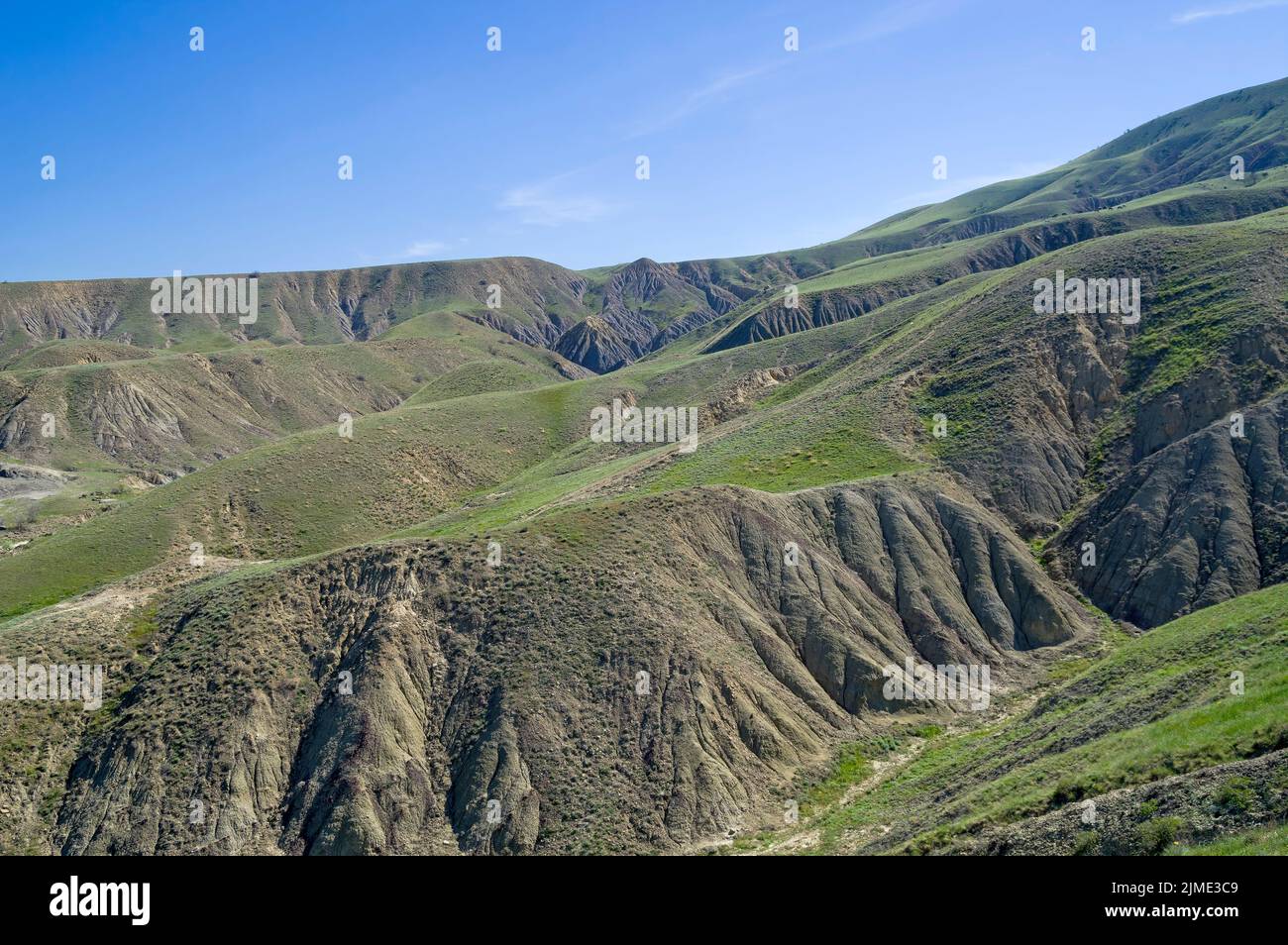 A semi-desert covered with fresh green grass in spring. Clay ravines ...