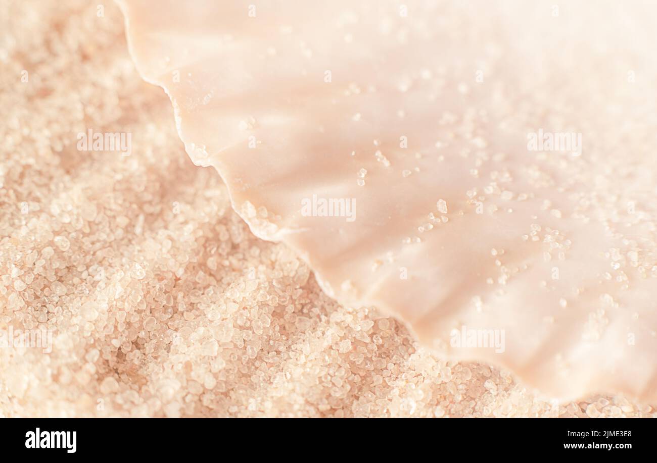 Sea shells on a sandy beach. Beach sand as background Stock Photo - Alamy