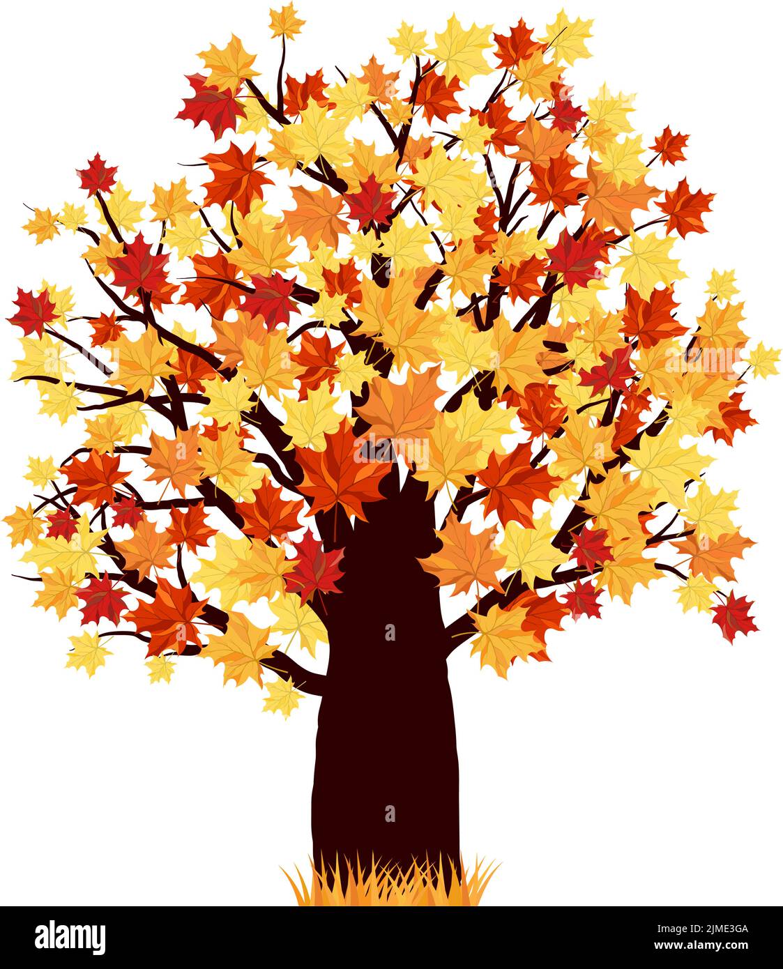 Autumn Maple Tree With Falling Leaves on White Background. Elegant ...