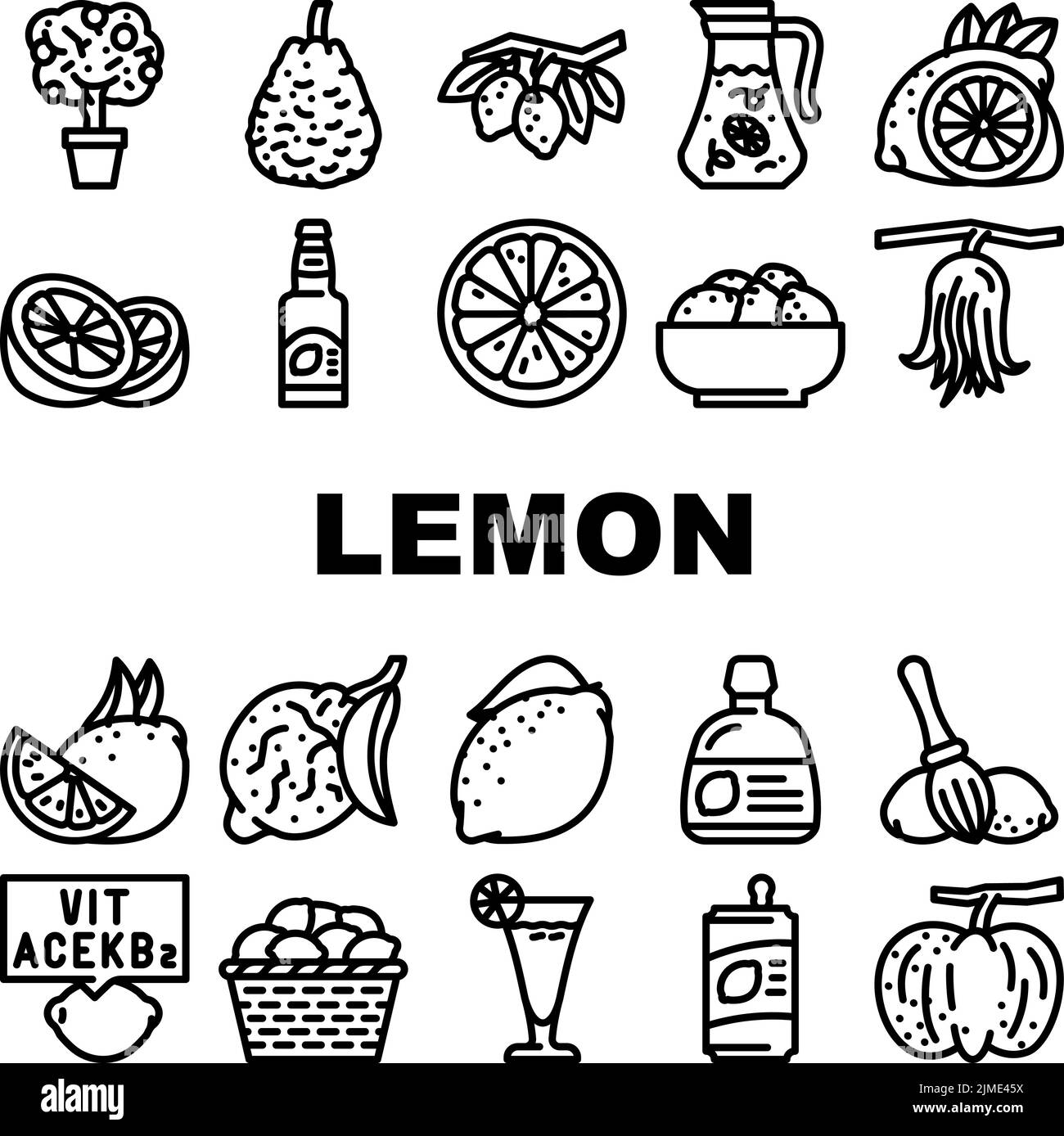 lemon fruit citrus slice fresh icons set vector Stock Vector Image ...