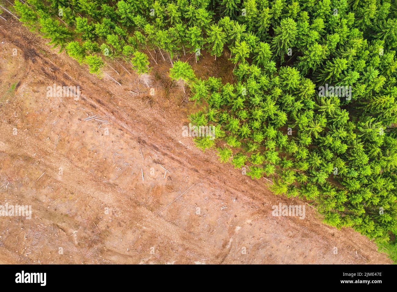 A felled forest part from above background Stock Photo - Alamy