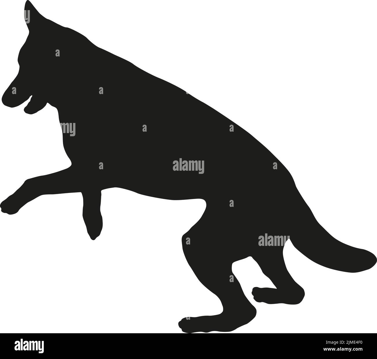 Jumping german shepherd dog puppy. Black dog silhouette. Pet animals ...