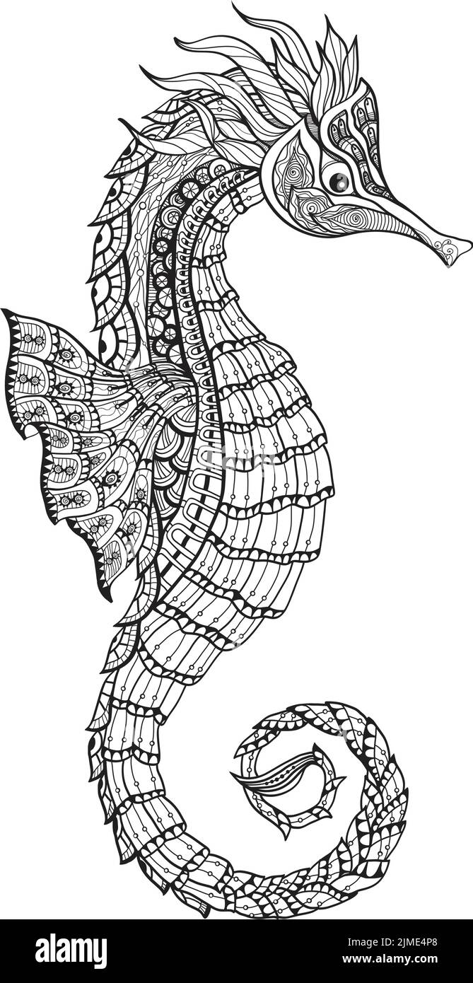 Sea marine aquarium life doodle sketch of sea horse fish decorative ...