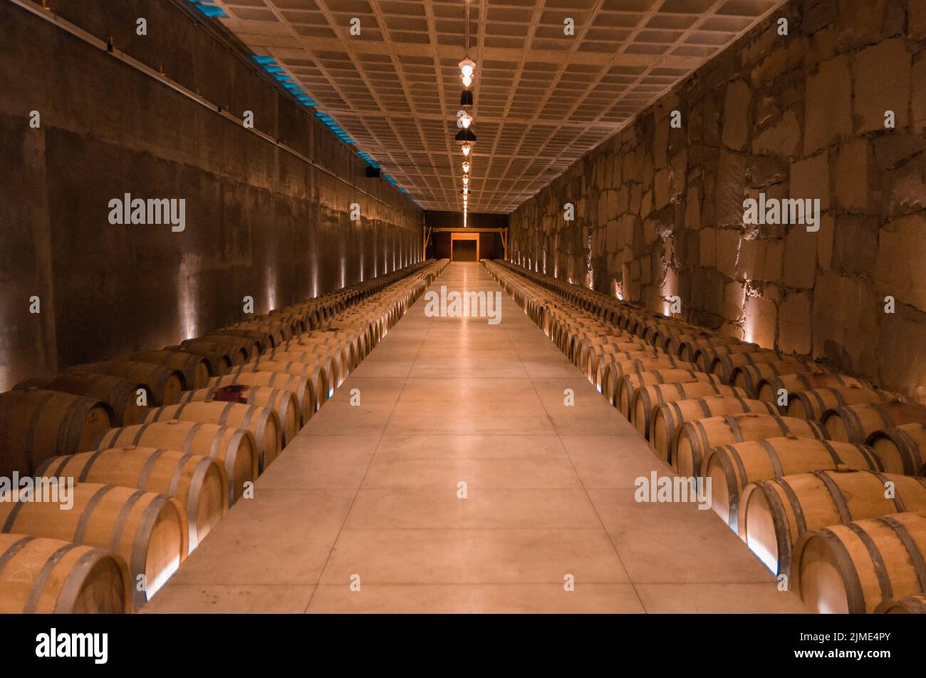 Oak barrels for wine aging in an underground cellar in Vale dos ...