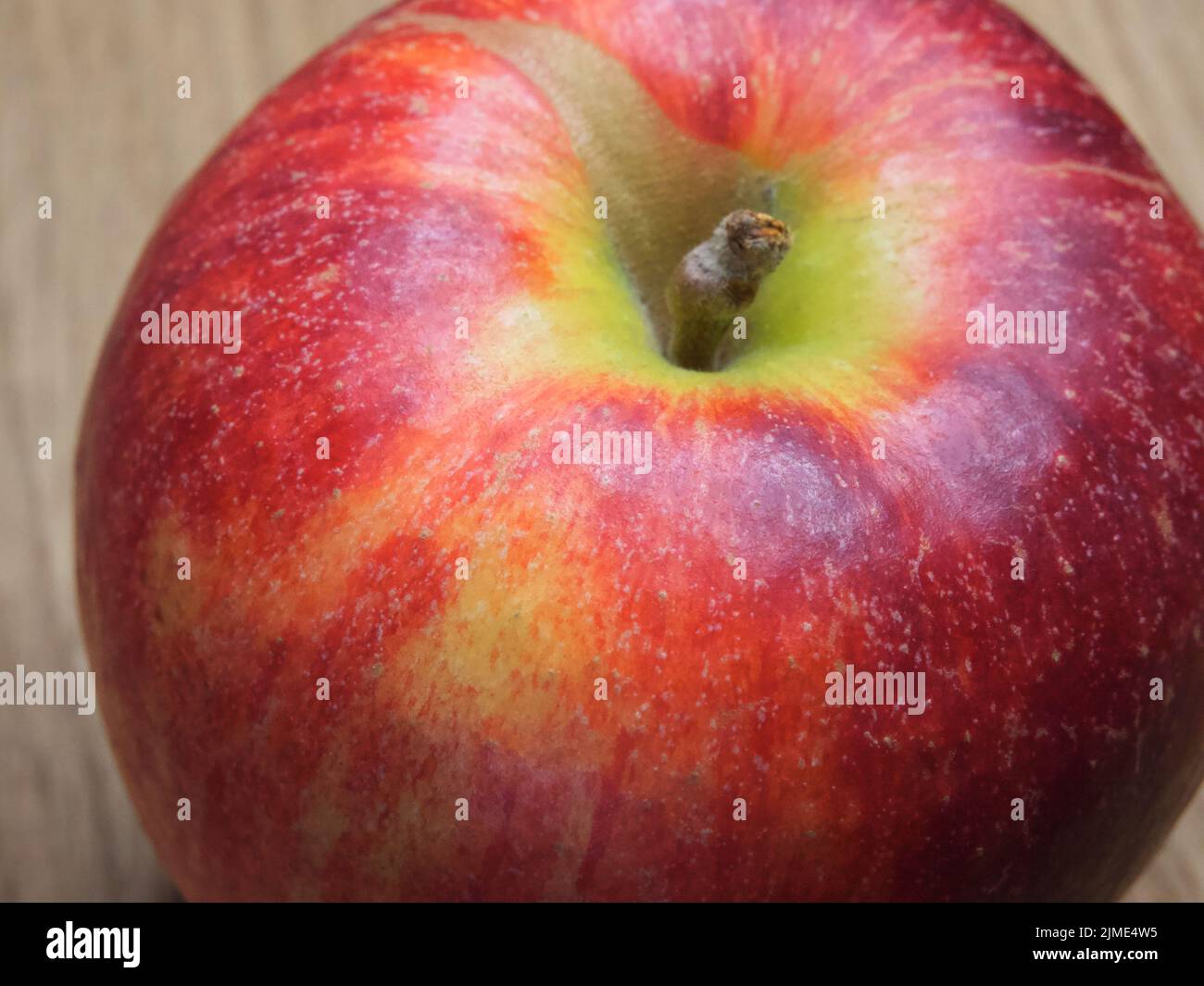 A single large ripe gala apple, a close-up shot. Beautiful fruit Stock ...