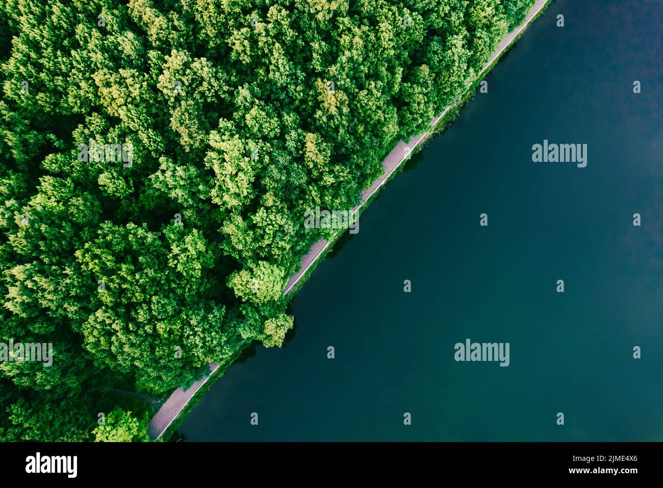 Green forest and water aerial top view, copy space Stock Photo - Alamy