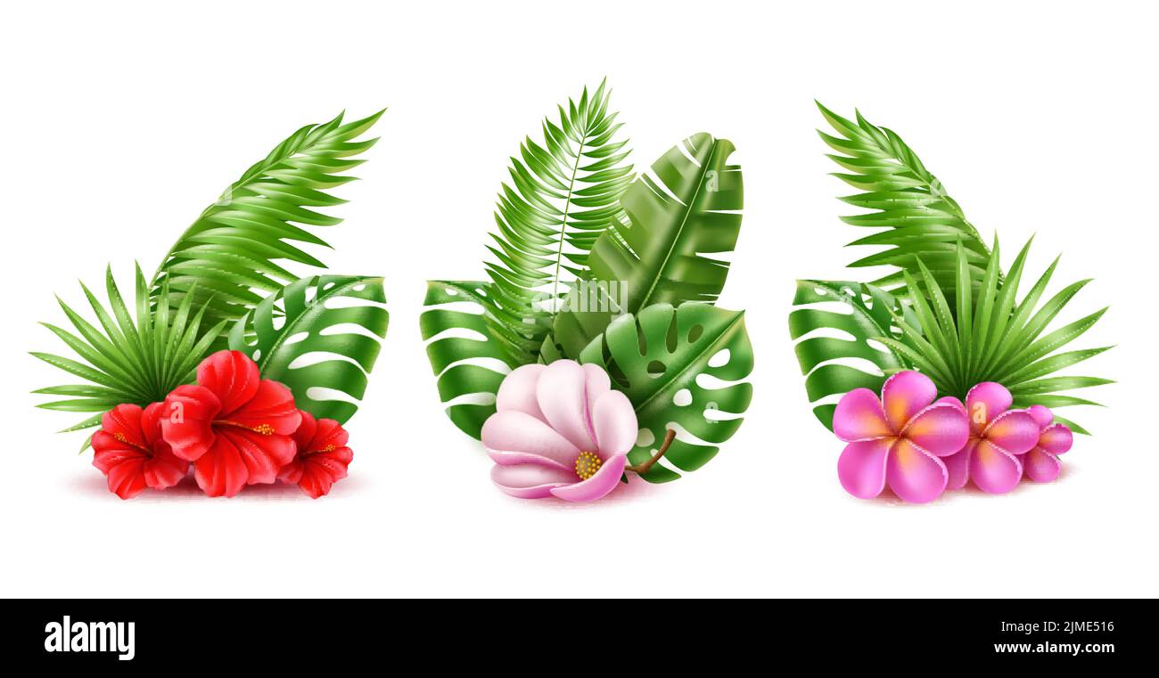 Tropical bouquet. Realistic beautiful flowers and exotic leaves ...