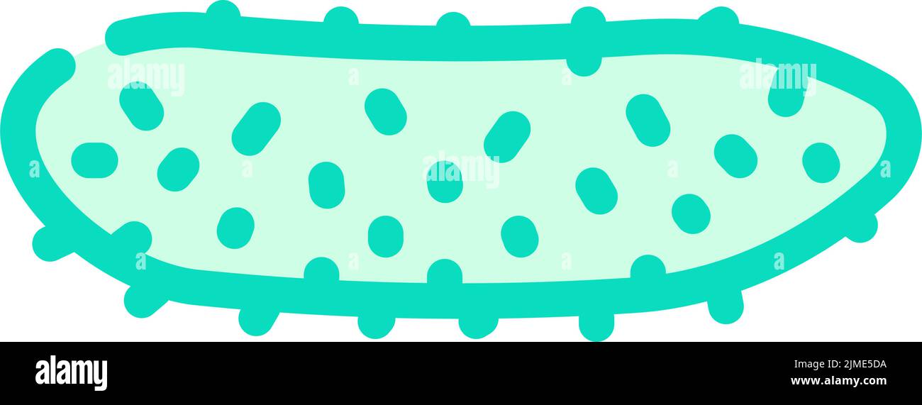 gherkin gherkin color icon vector illustration Stock Vector Image & Art ...