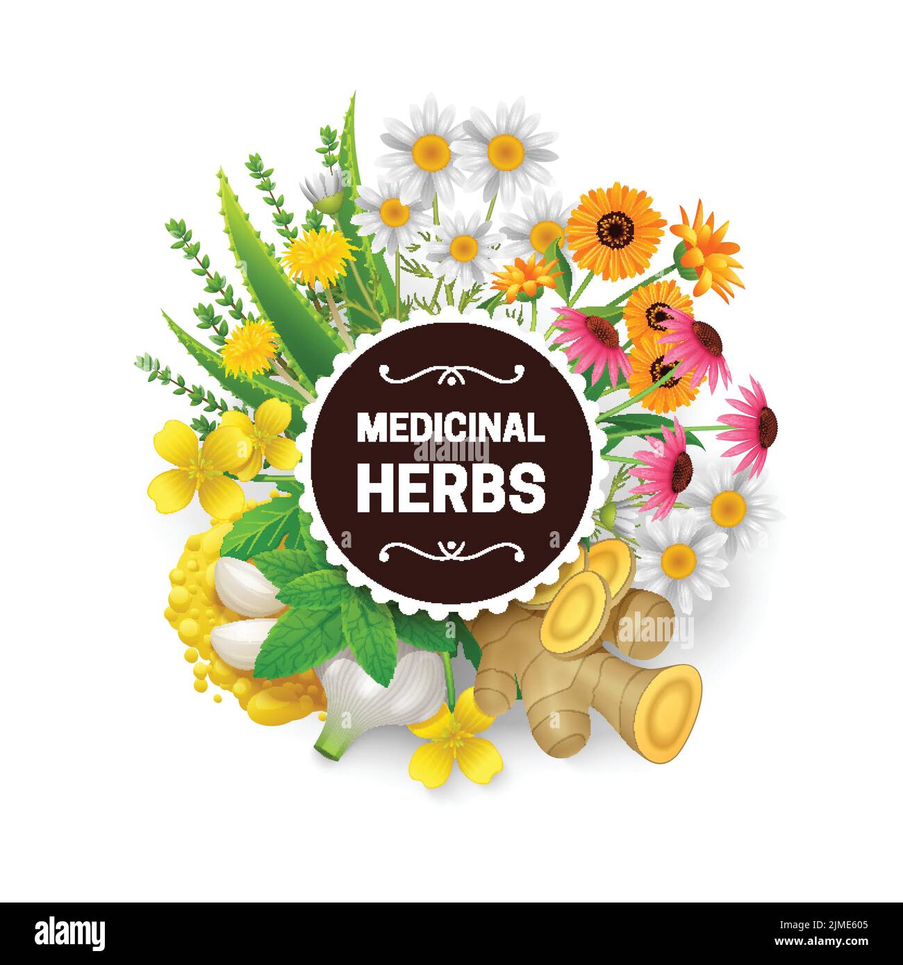 Wreath medicinal plants herbs hi-res stock photography and images - Alamy