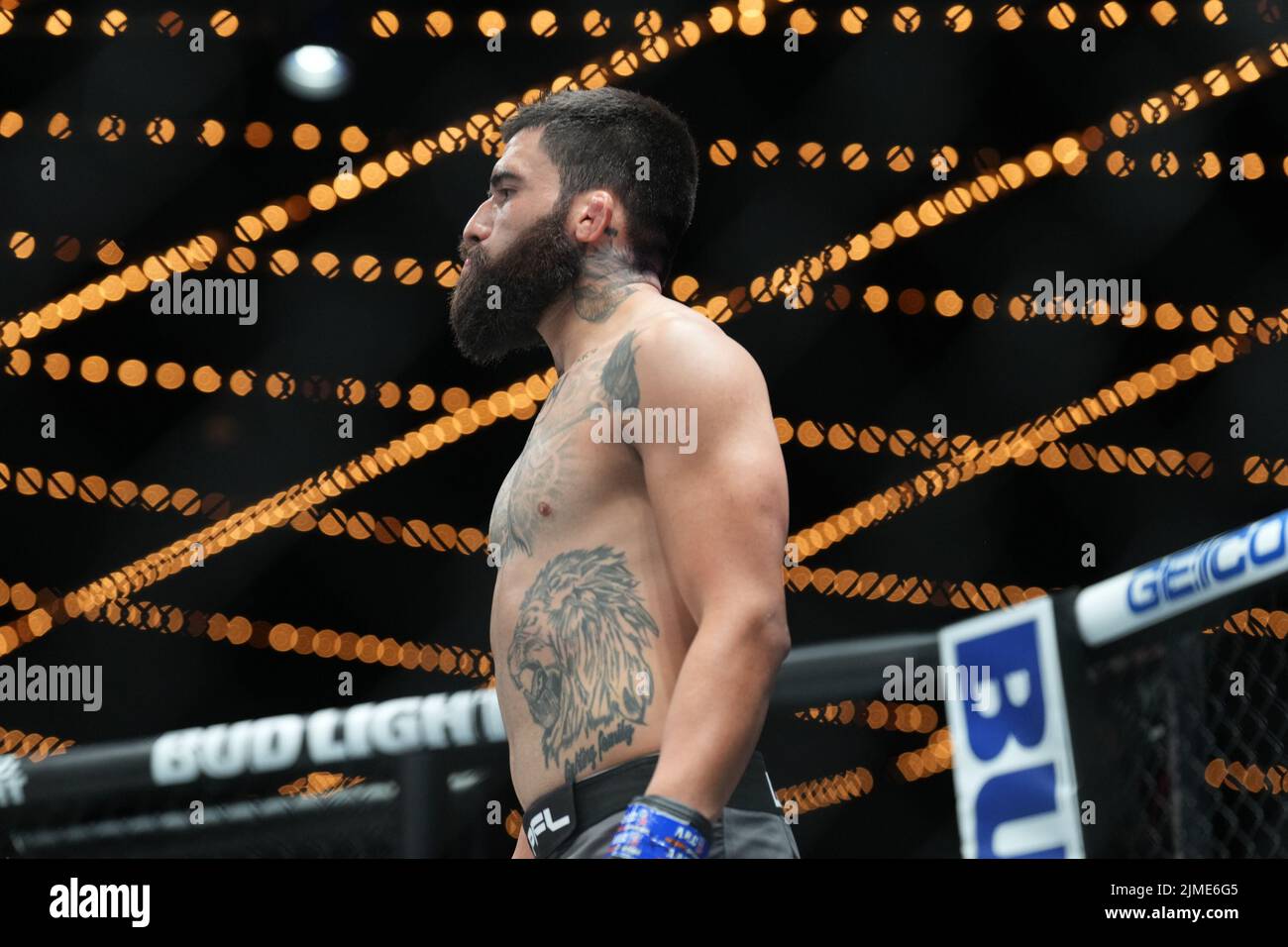 Alexei pergande hi-res stock photography and images - Alamy