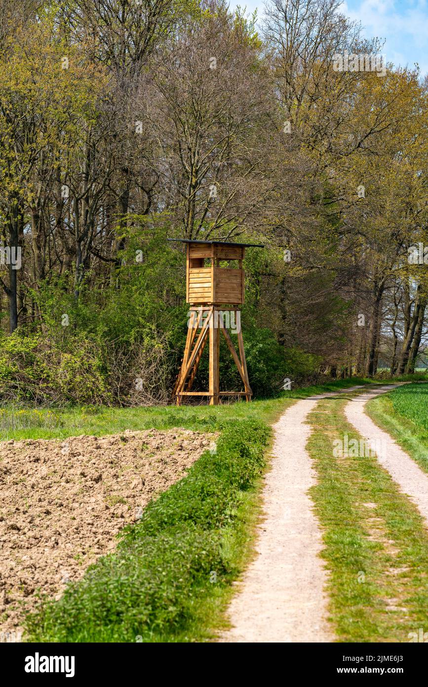 Hunter house in forest. Wooden Hunting Lodge Stock Photo - Alamy
