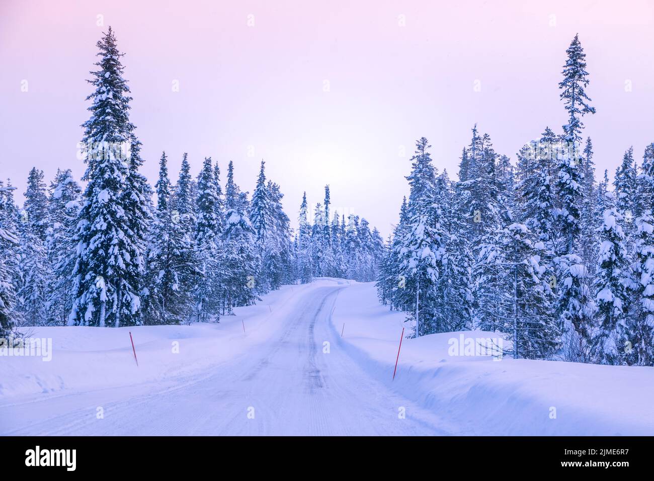Empty road through snowy forest hi-res stock photography and images - Alamy