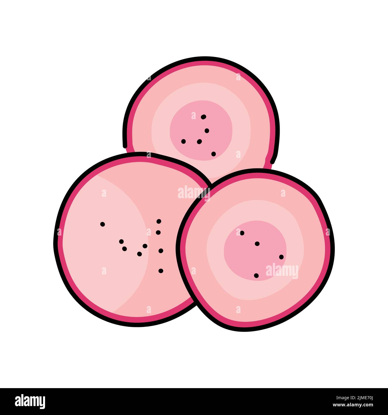 Chopped radish color line icon. Natural vegetable. Pictogram for web ...