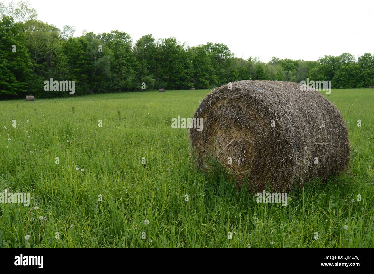 Hay Bale Farming Field Stock Photo - Alamy