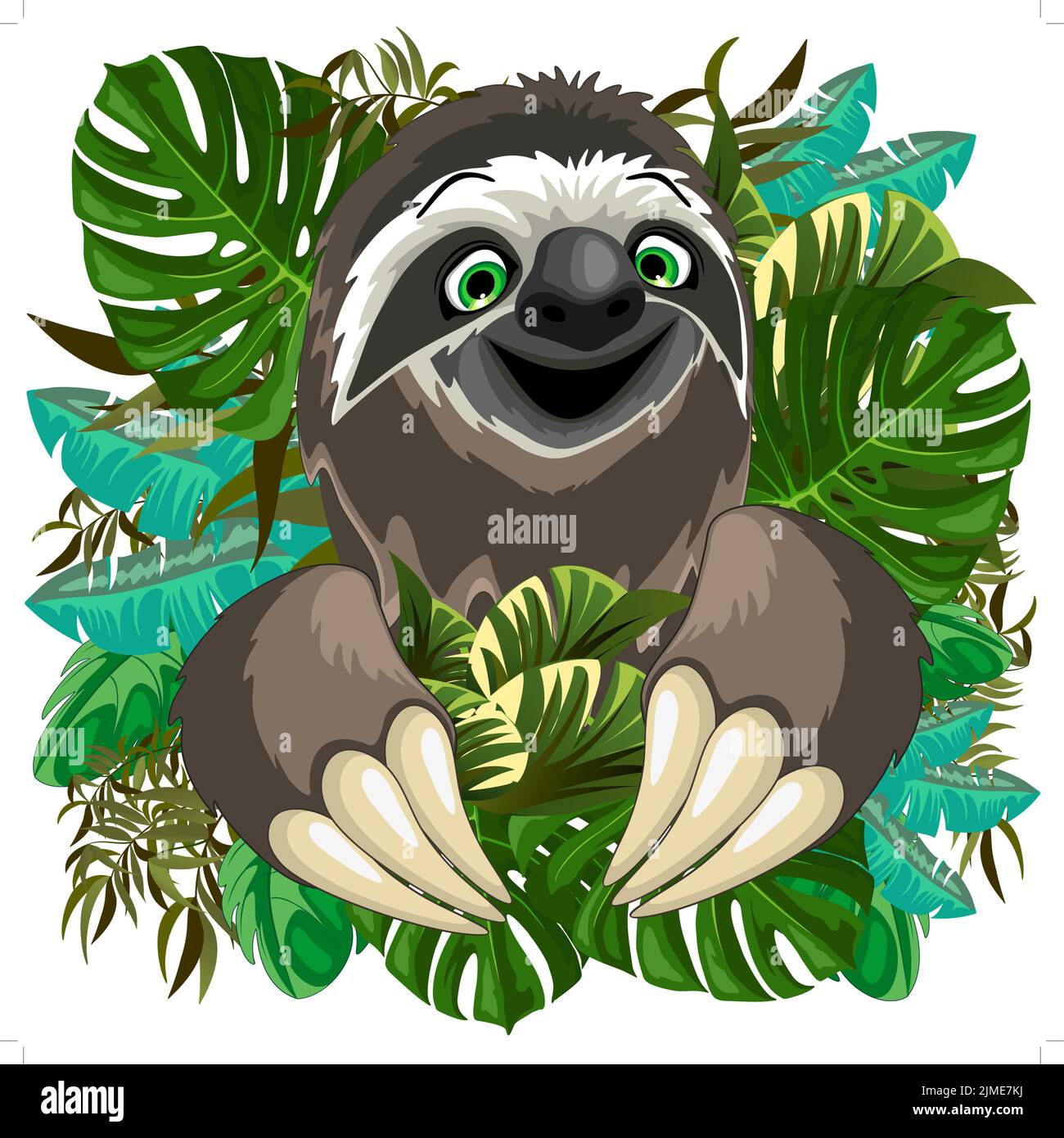 Vertical amazon rainforest Stock Vector Images - Alamy