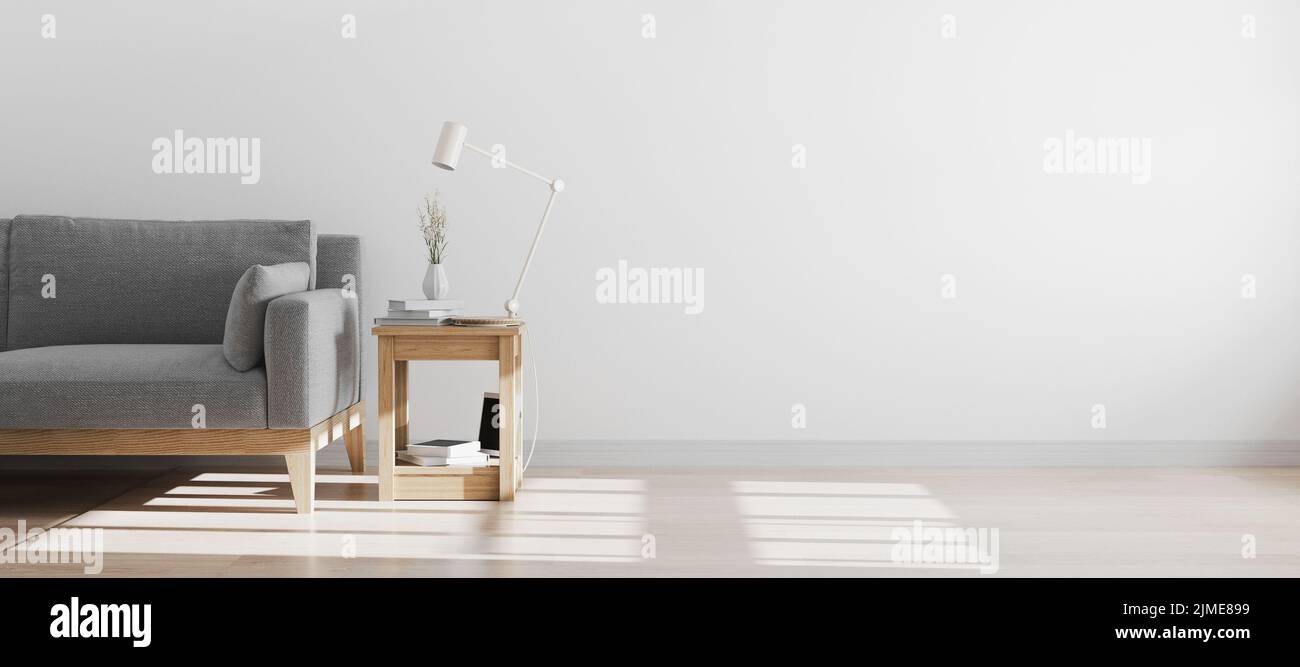 Hipster style interior background with grey sofa, scandinavian style ...
