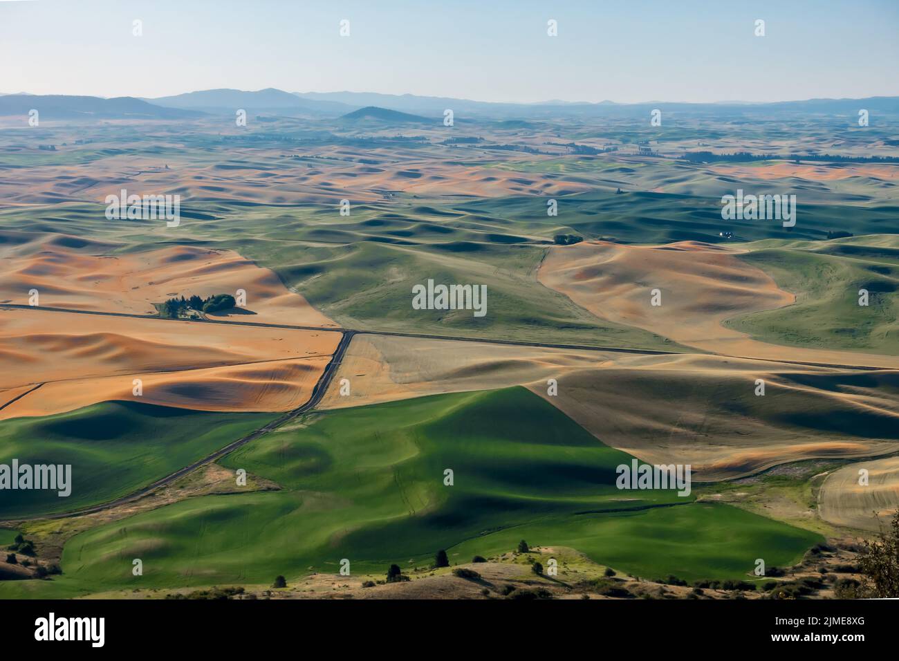 Magical wheat farm fields in palouse washington Stock Photo - Alamy