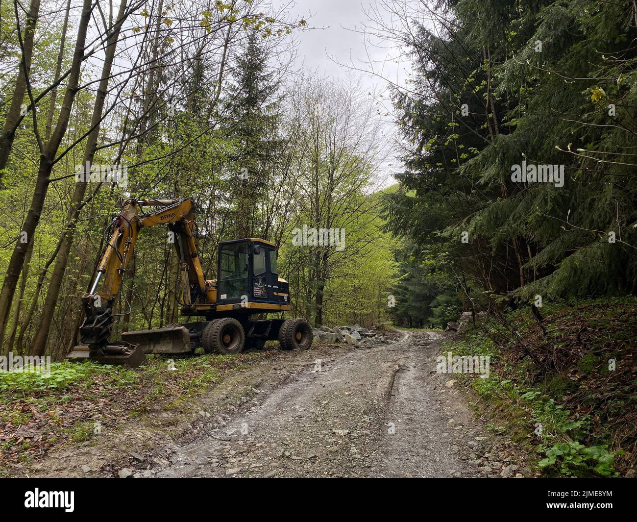 An excavator along a path clearing forest for new development Stock ...