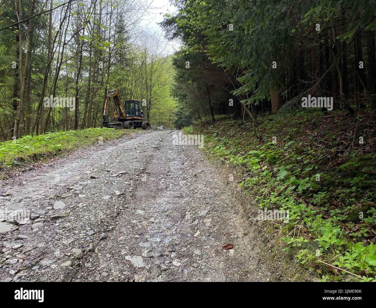 An excavator along a path clearing forest for new development Stock ...