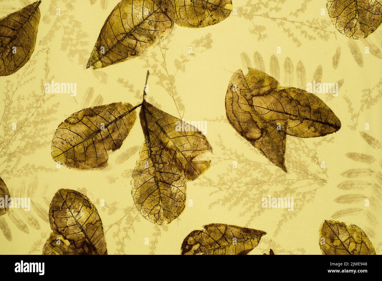 Retro Fabric Pattern Wallpaper with Colorful Floral Ornament Stock ...