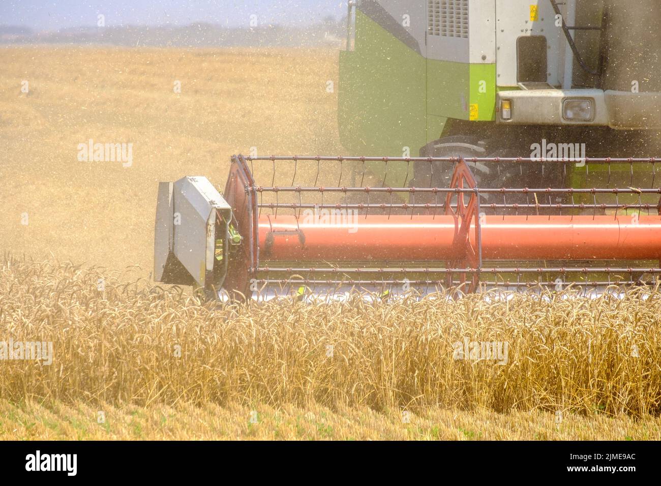 Agricultural harvester mows wheat Stock Photo - Alamy