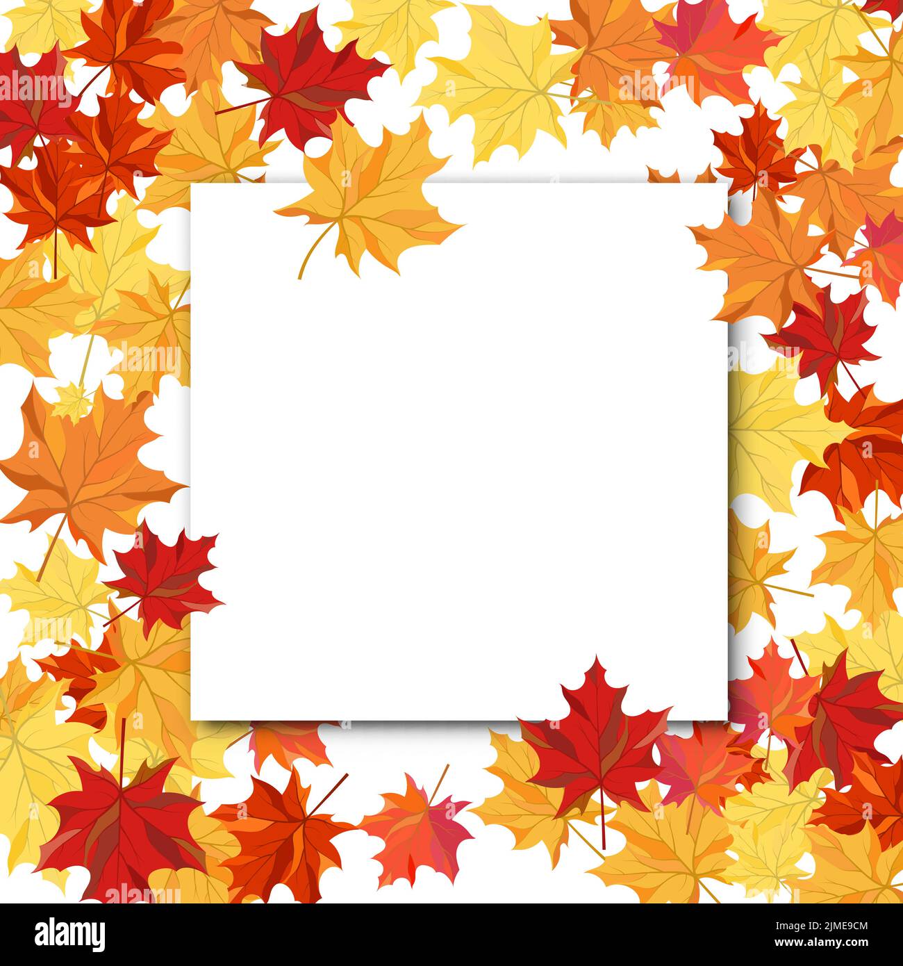 Autumn Frame With Blank Sheet of Paper and Maple Leaves Over and Under ...
