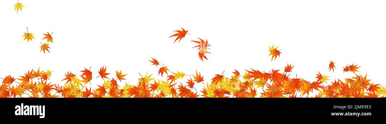 Autumn Leaves Border. Red, yellow and orange color fall leaves with ...