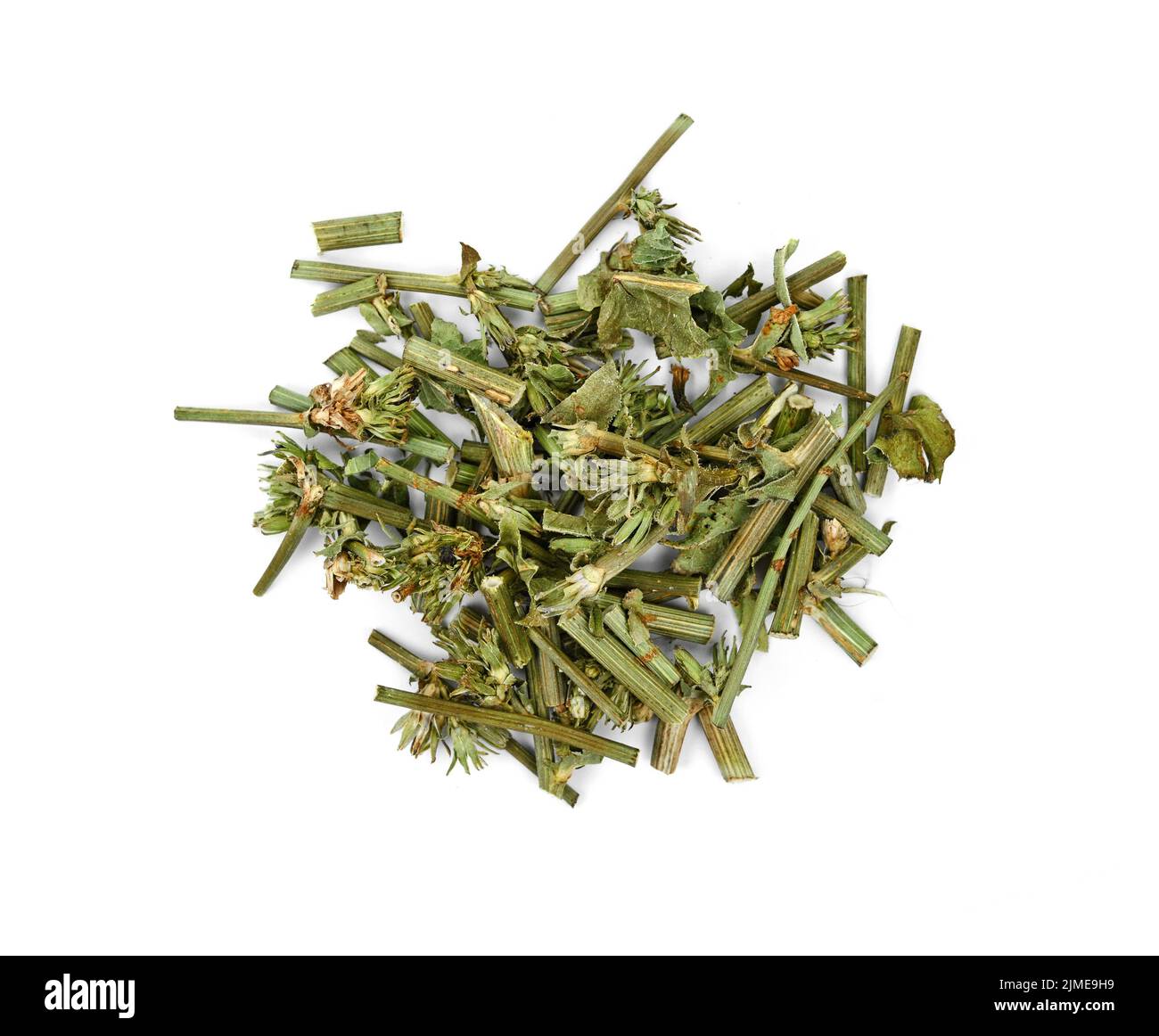 herbal medicine - dry ingredient chicory root, for the preparation of ...