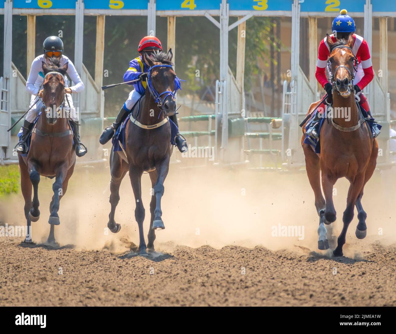 Three Riders After the Start of the Horse Race Stock Photo - Alamy