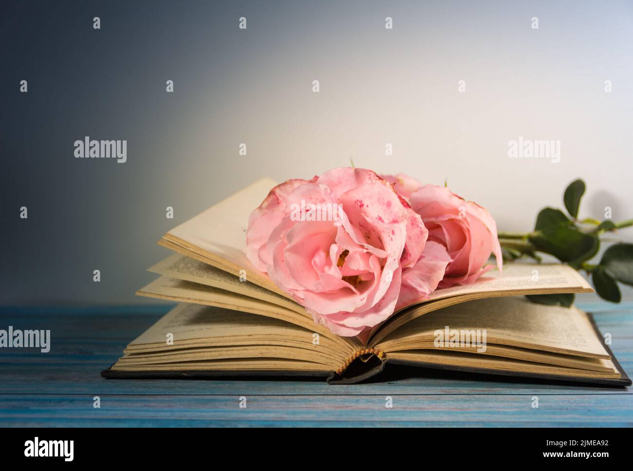 Rustic books hi-res stock photography and images - Alamy