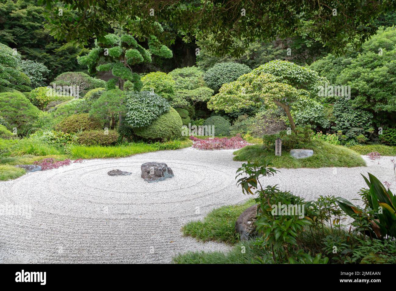 A beautiful, serene, tranquil image of green Japanese garden in ...