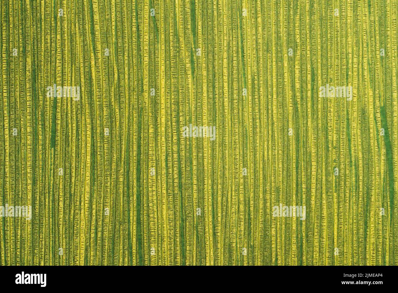Fragment of Fabric Wallpaper Modern Repeat Pattern with Textures Stock ...