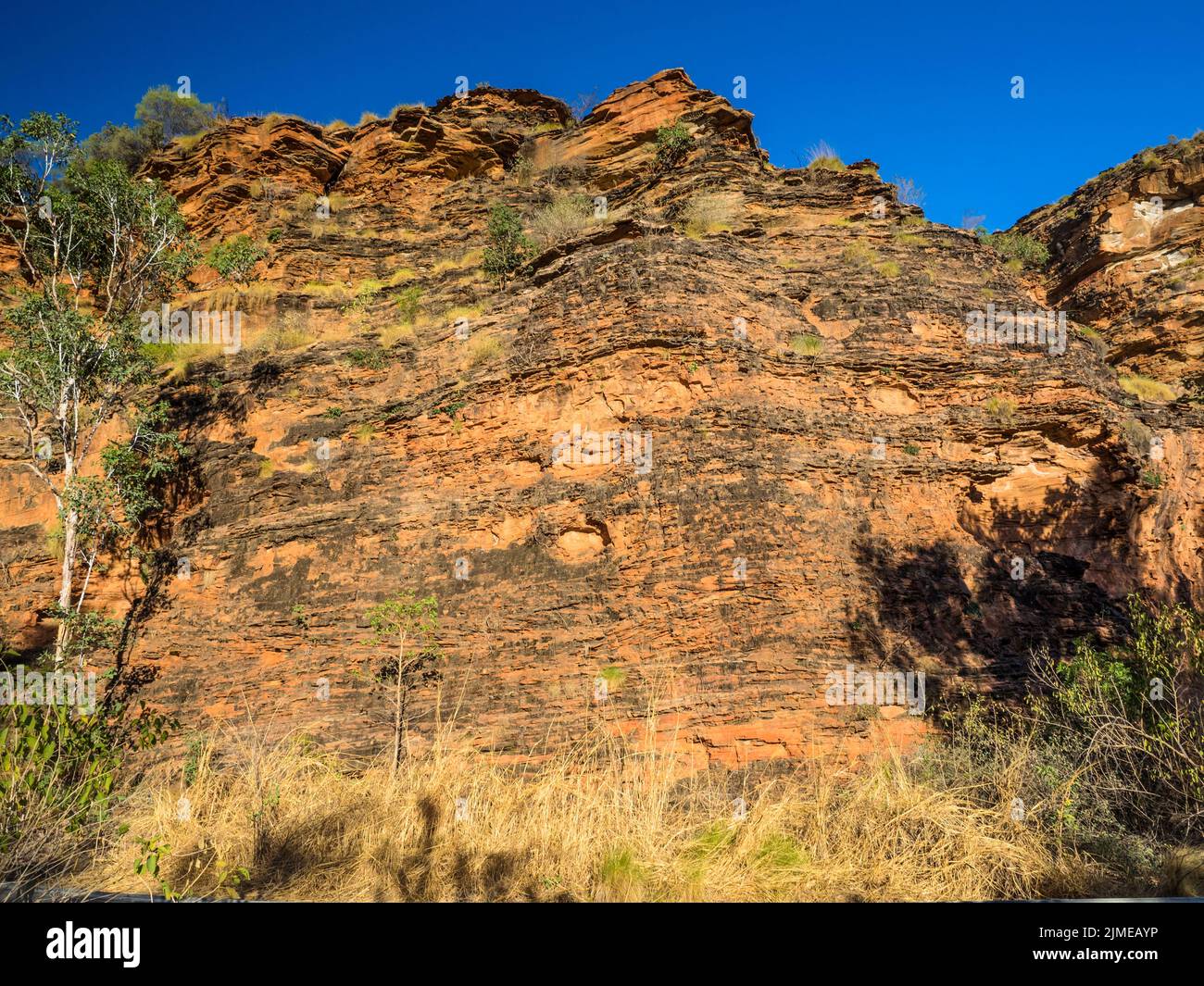Quartz sandstone and congolmerate sedimentary karst rock formations ...
