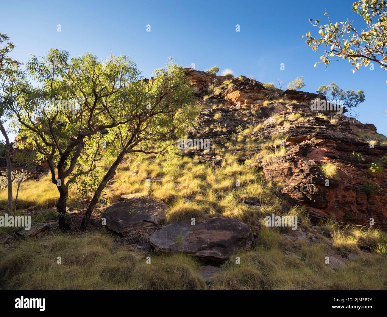 Quartz sandstone and congolmerate sedimentary karst rock formation ...